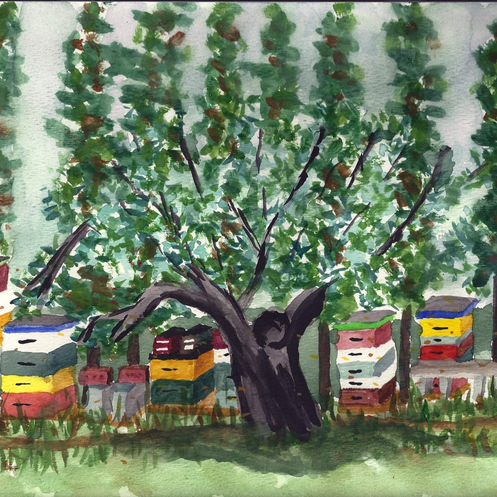 Nancy Rowell - Crafts Alliance